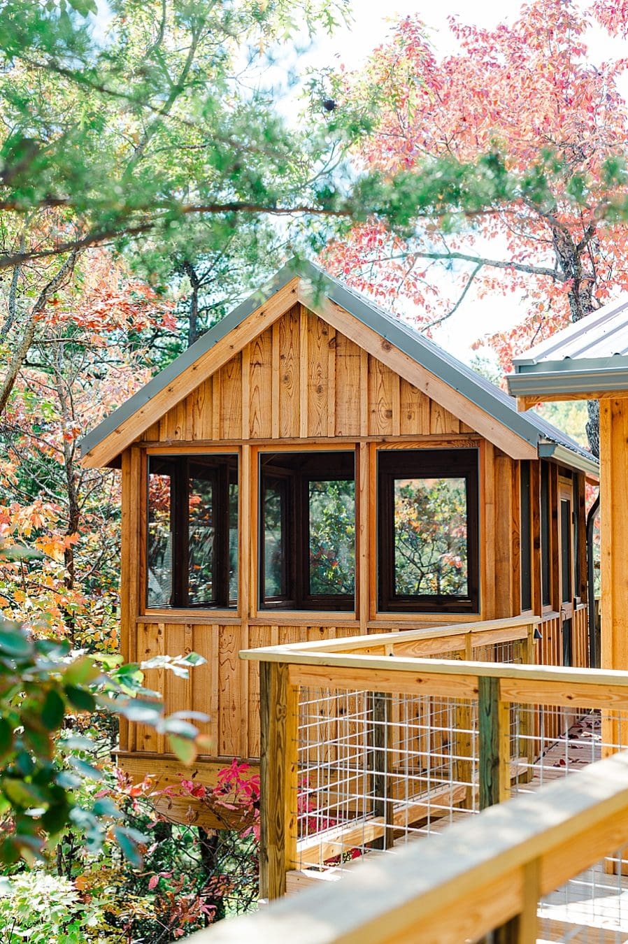 Treehouse Grove Wedding by Amanda May Photos